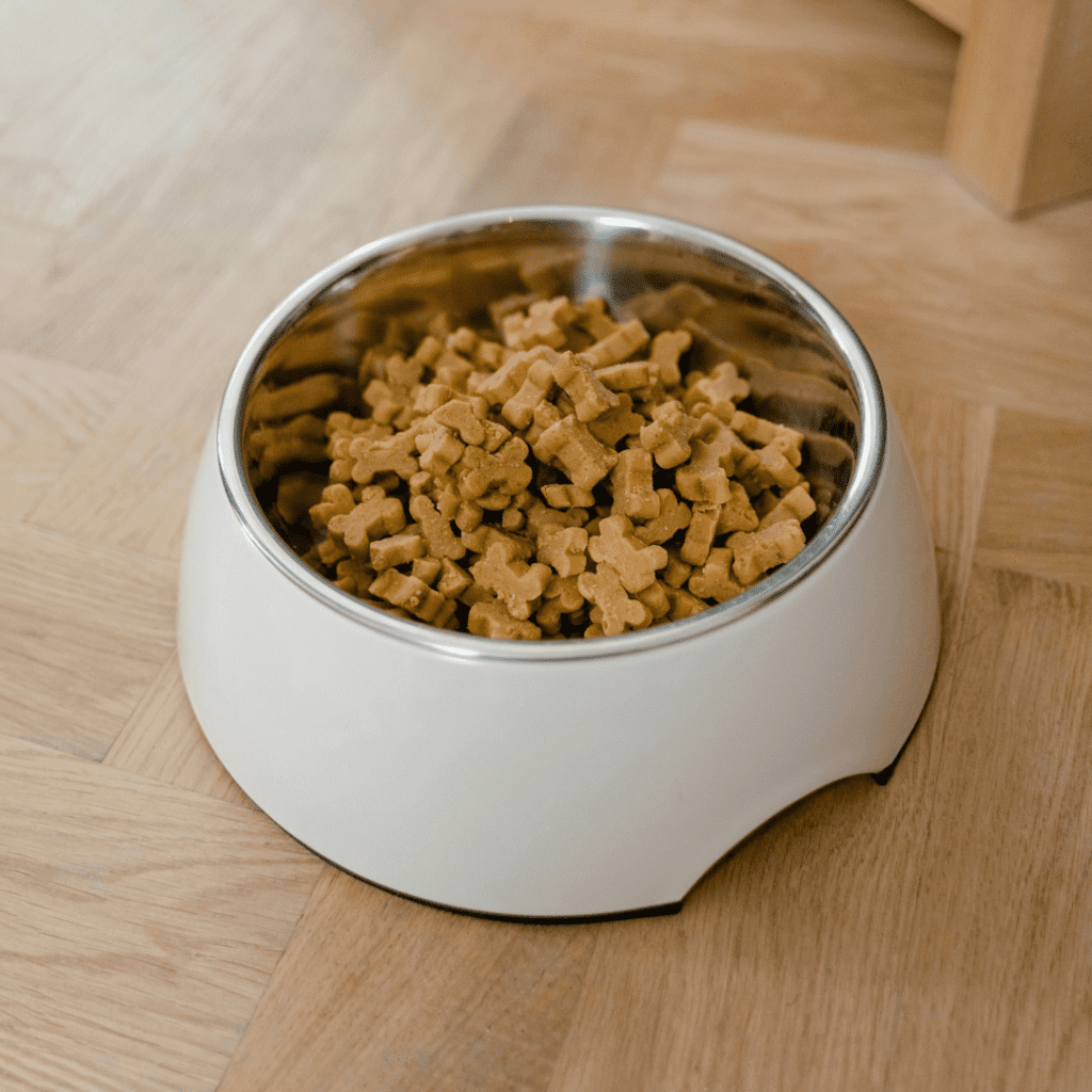 Shop – Redemption Dogs